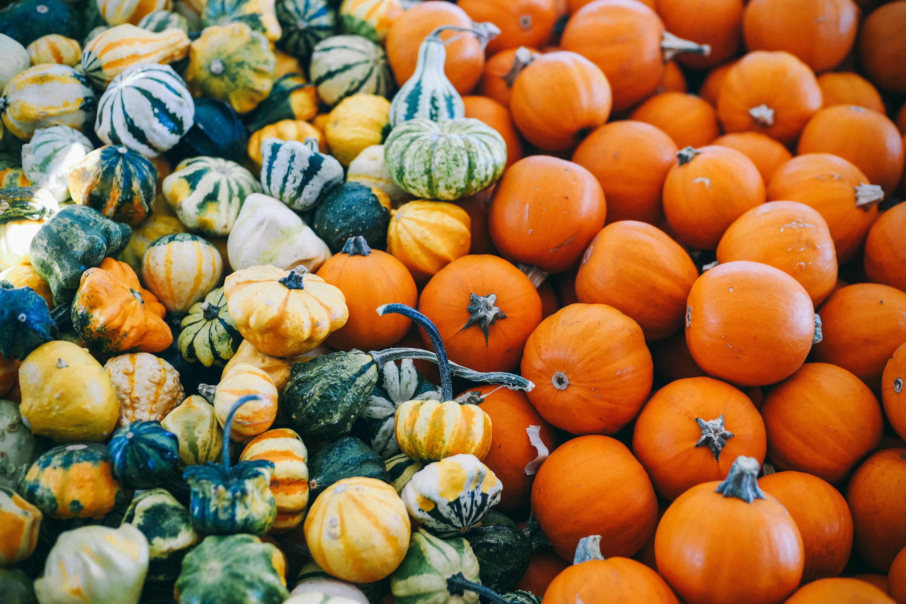 Autumn Tech Tip Collection | Zuken EN