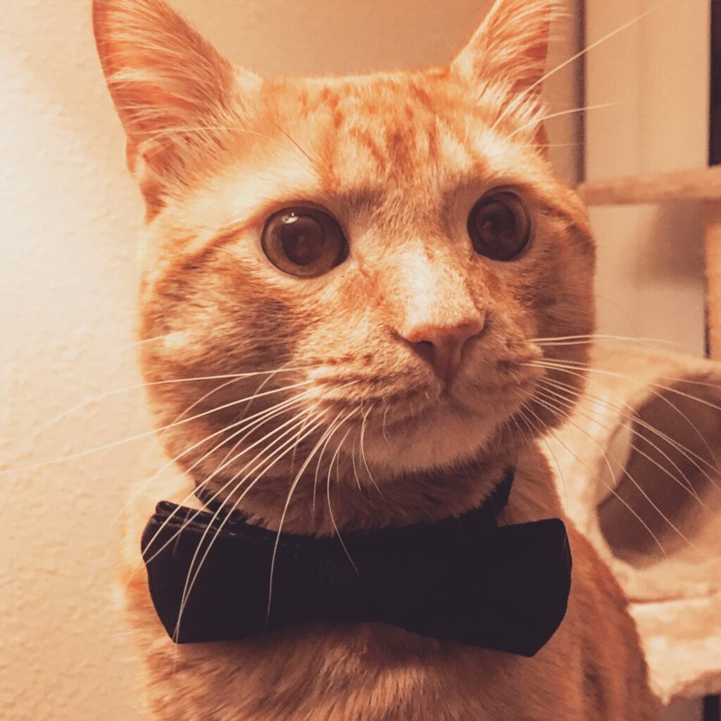 Meet Our People: Jordan, Digital Marketing Manager - Zuken US